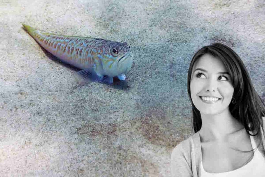 Puntura di tracina, è molto diffusa: cosa fare e come trattarla per far ...